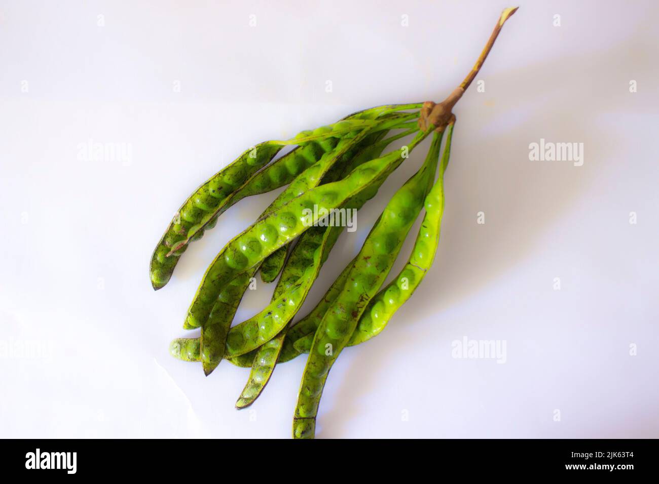 Petai, Twisted cluster bean, Stink bean, Bitter Bean, Parkia speciosa ...