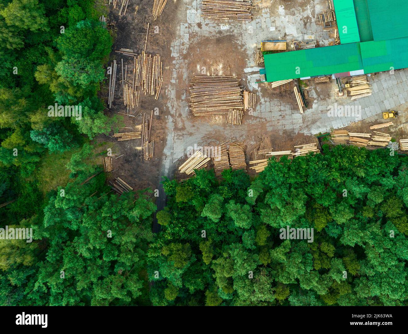 Pile of Logs in Sawmill Industry Aerial View. Green pine forest from ...