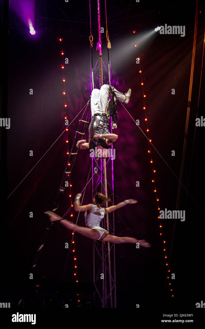 Circus clowns trained animals hi-res stock photography and images - Alamy