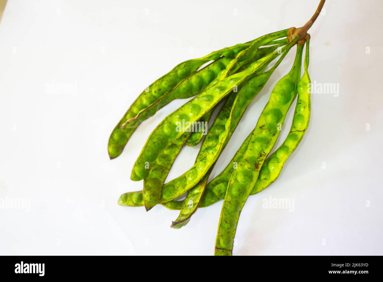 Petai, Twisted cluster bean, Stink bean, Bitter Bean, Parkia speciosa ...