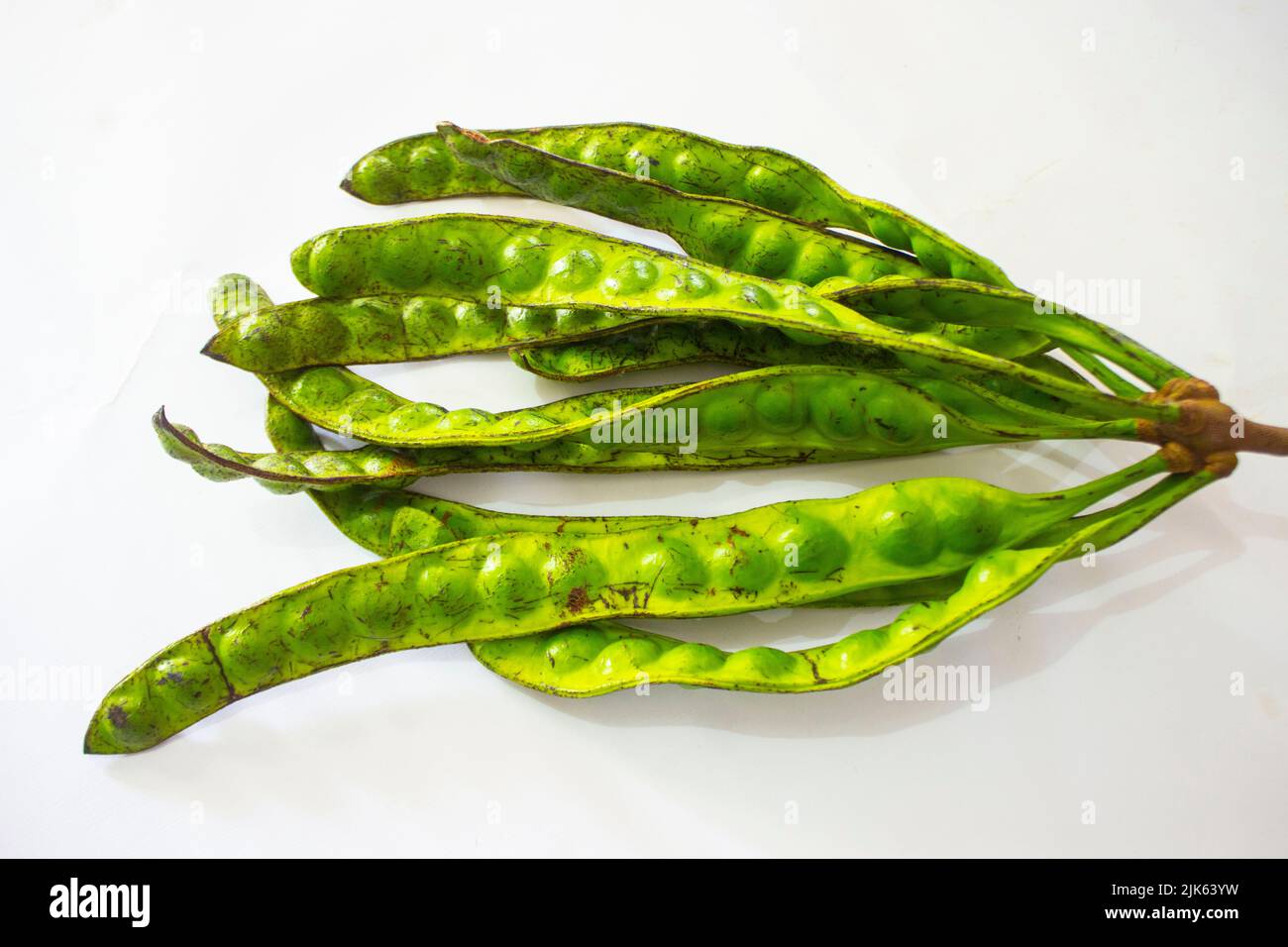 Petai, Twisted cluster bean, Stink bean, Bitter Bean, Parkia speciosa ...