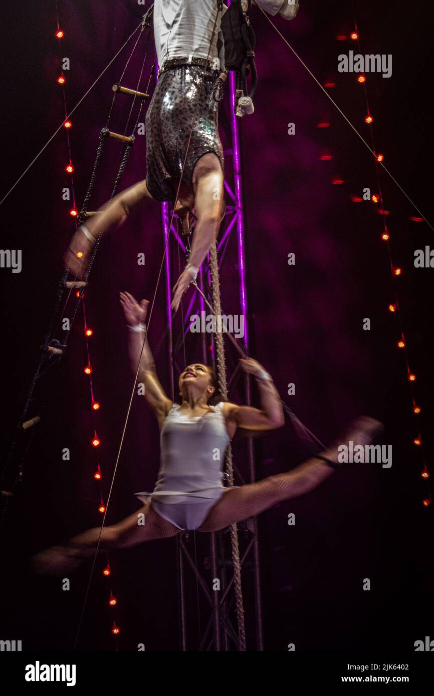 Circus clowns trained animals hi-res stock photography and images - Alamy