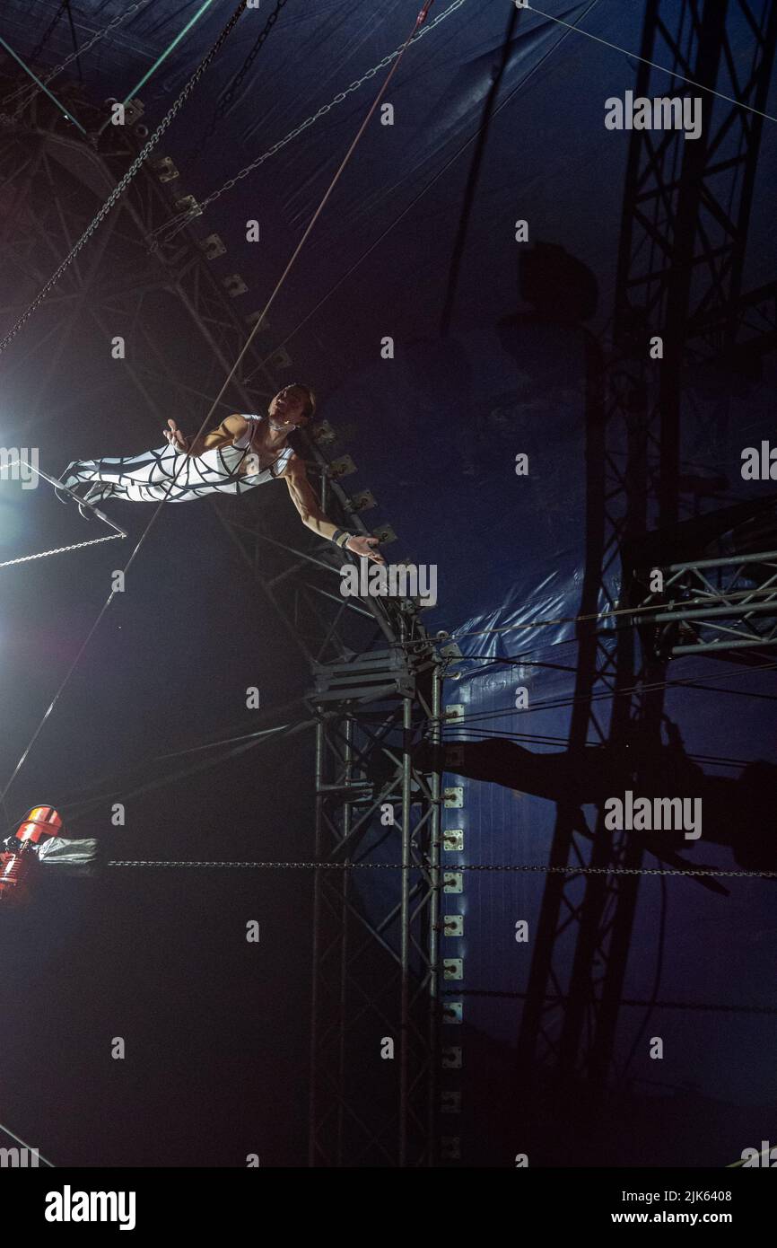 Circus clowns trained animals hi-res stock photography and images - Alamy