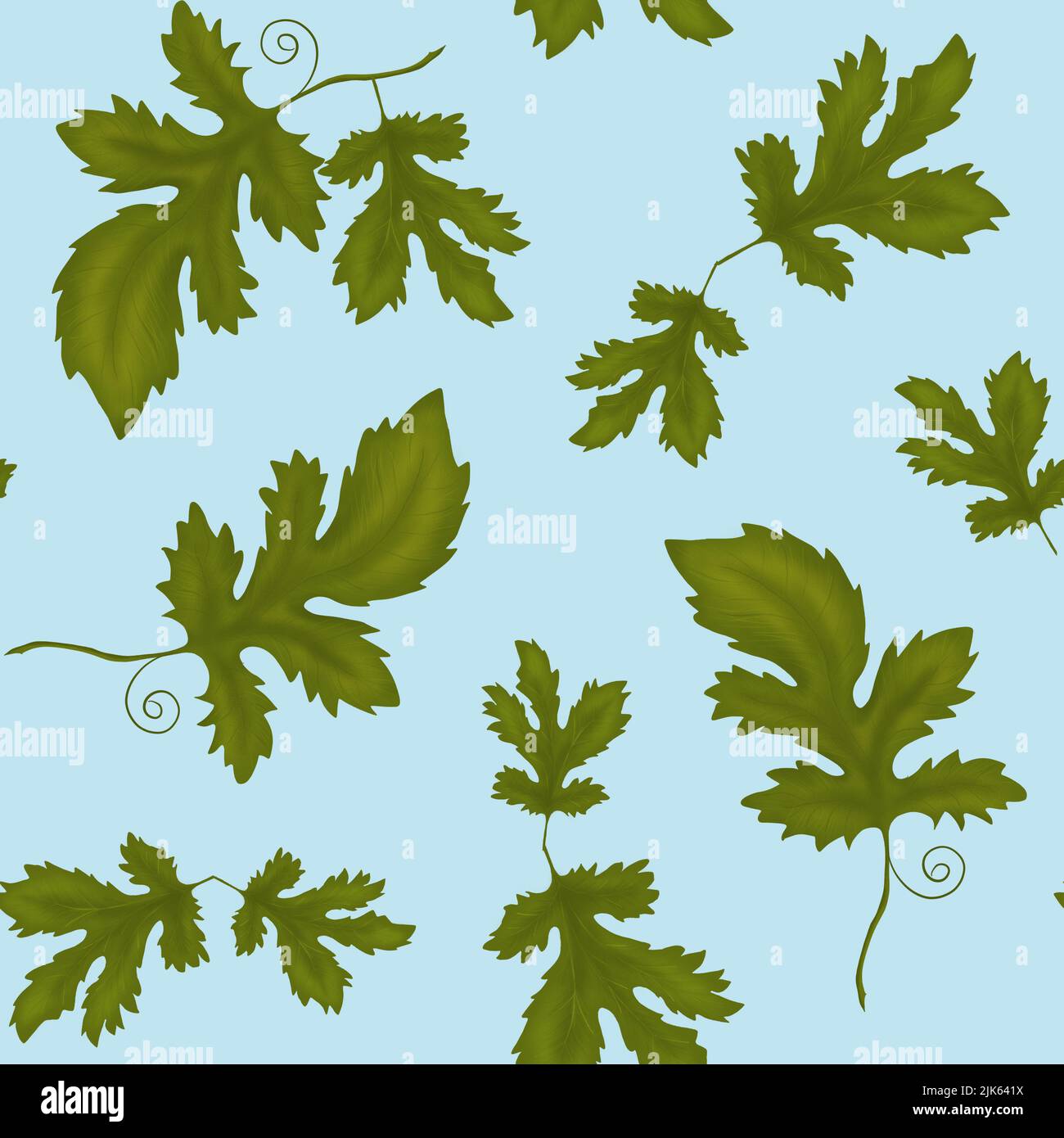 Floral background. Seamless pattern of grape leaves. Grape leaves on ...
