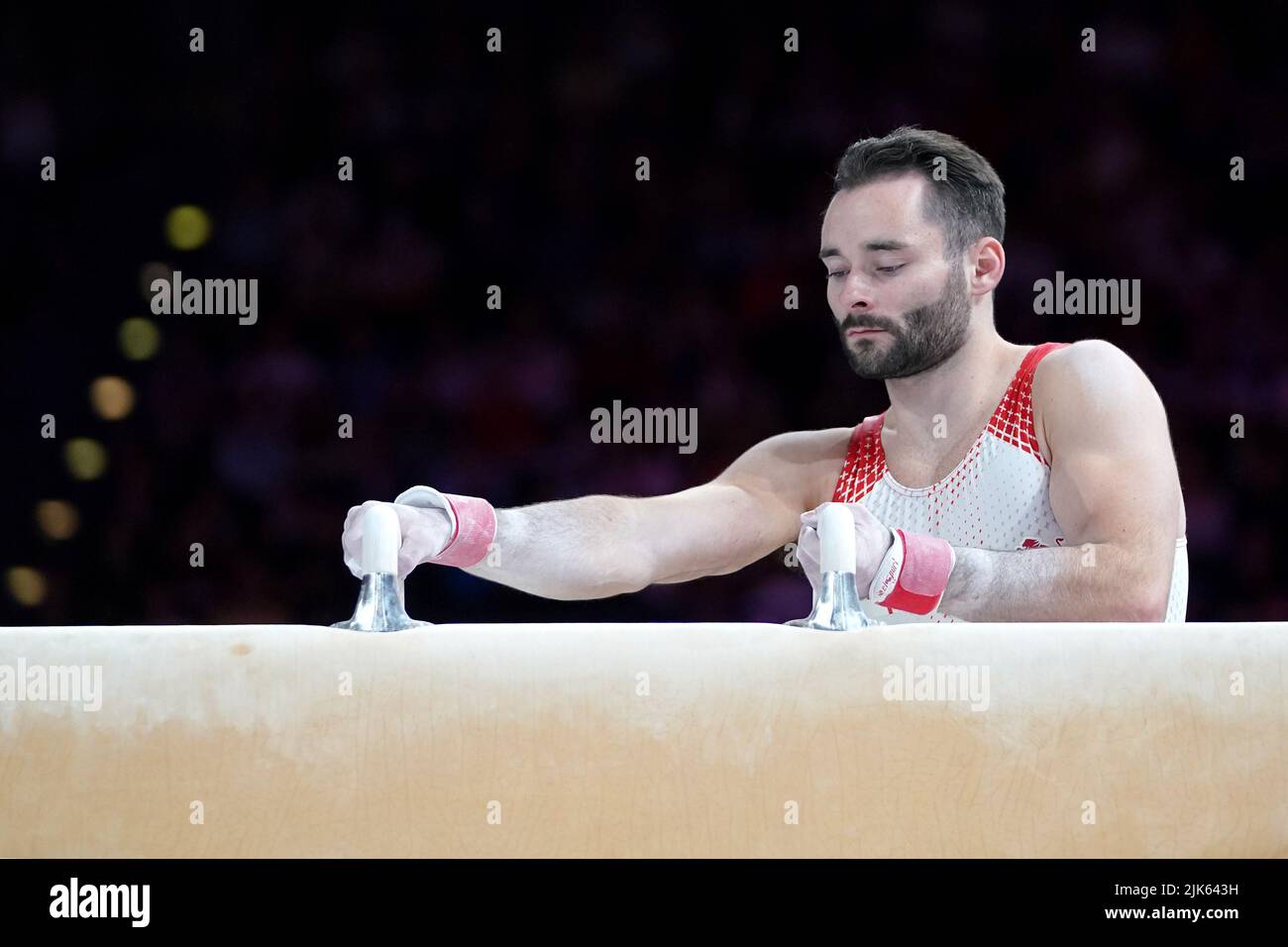 England's James Hall in action during his pommel rotation at Arena ...