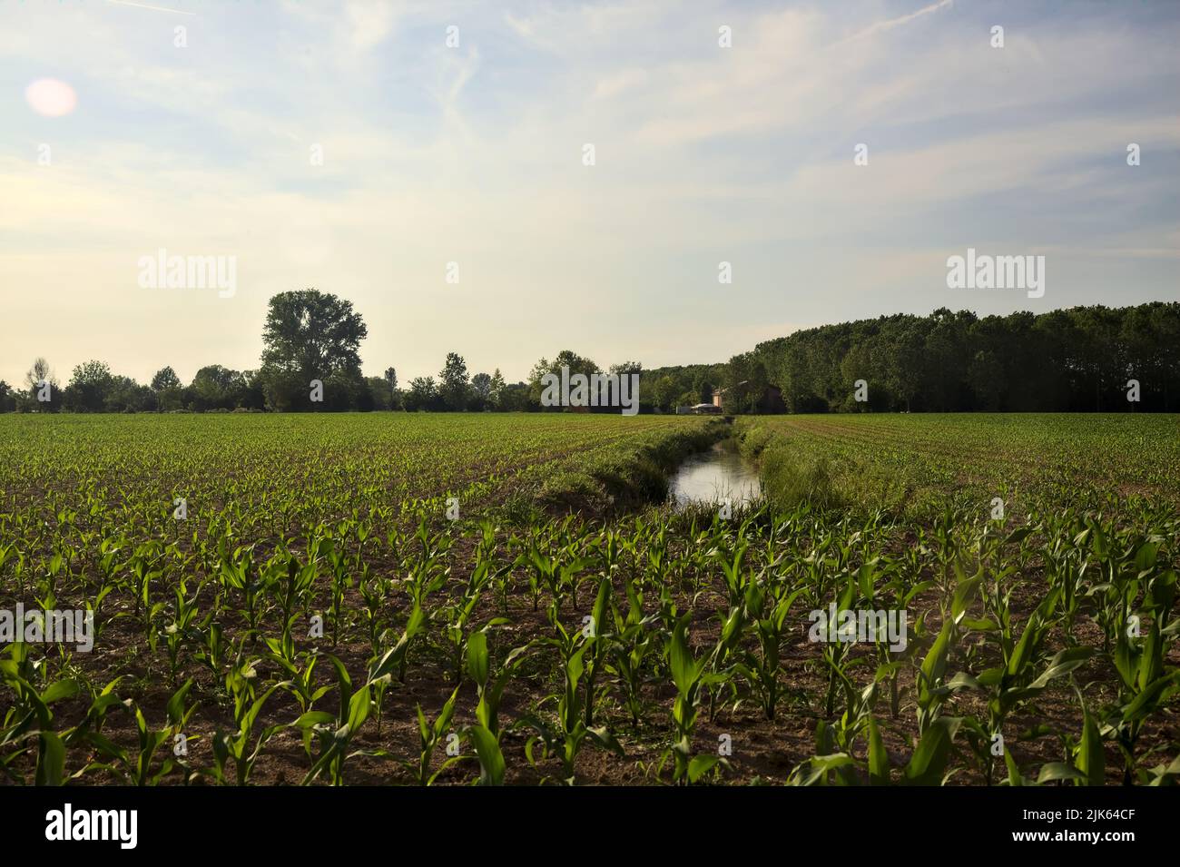 Field in the countryside with a stream of water and a country house in ...