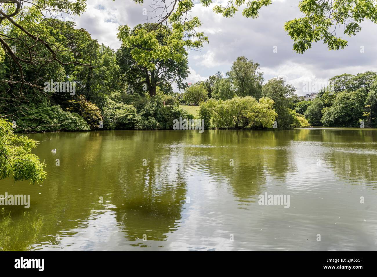 cityscape with lake in green vegetation at Orsted park, shot in bright ...