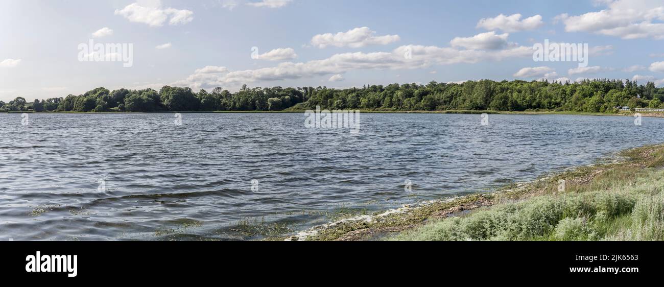 landscape with green shore of Iselfjord, shot near Sjaellands Holbaek ...
