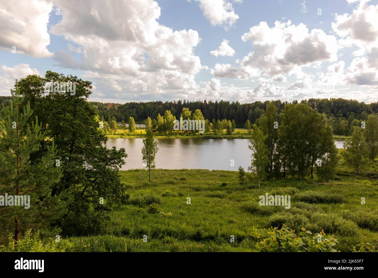 nature view with green groves river and blue with white clouds in the ...