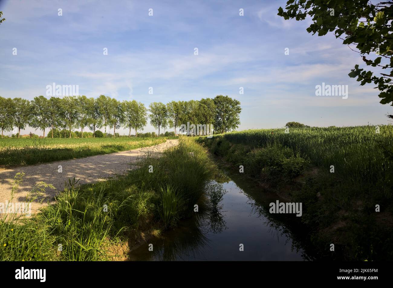 Field next to a stream of water and a dirt path at sunset in the ...