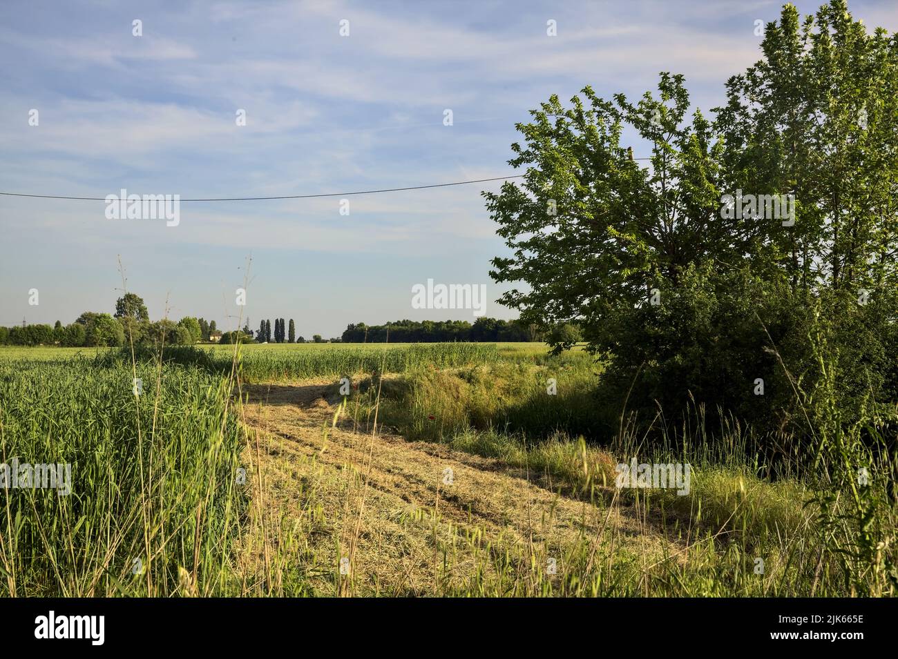 Stream next farm field hi-res stock photography and images - Alamy