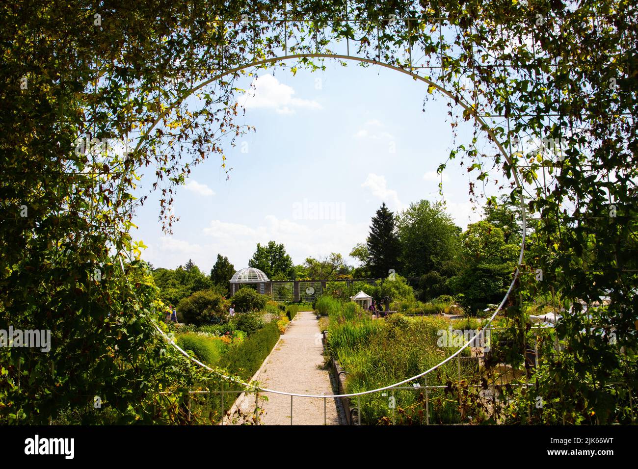 botanical garden in munich, blue sky, landscape Stock Photo - Alamy