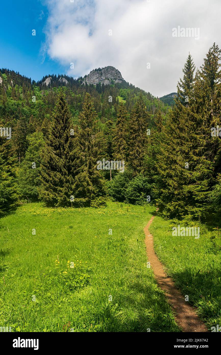 Zimerova hi-res stock photography and images - Alamy