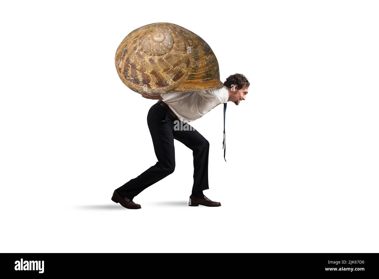 Shell like Cut Out Stock Images & Pictures - Alamy