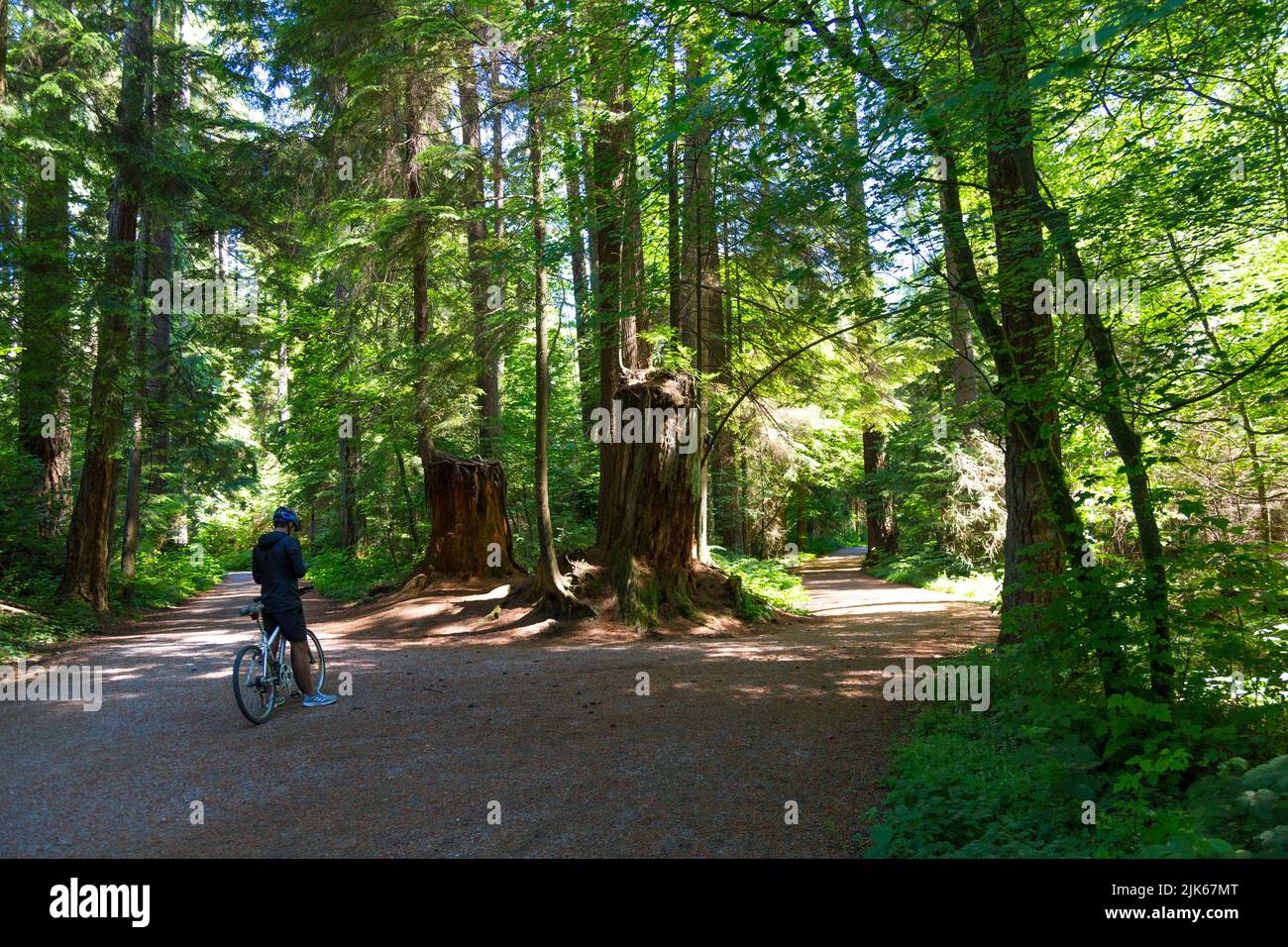 Stanley park background hi-res stock photography and images - Alamy