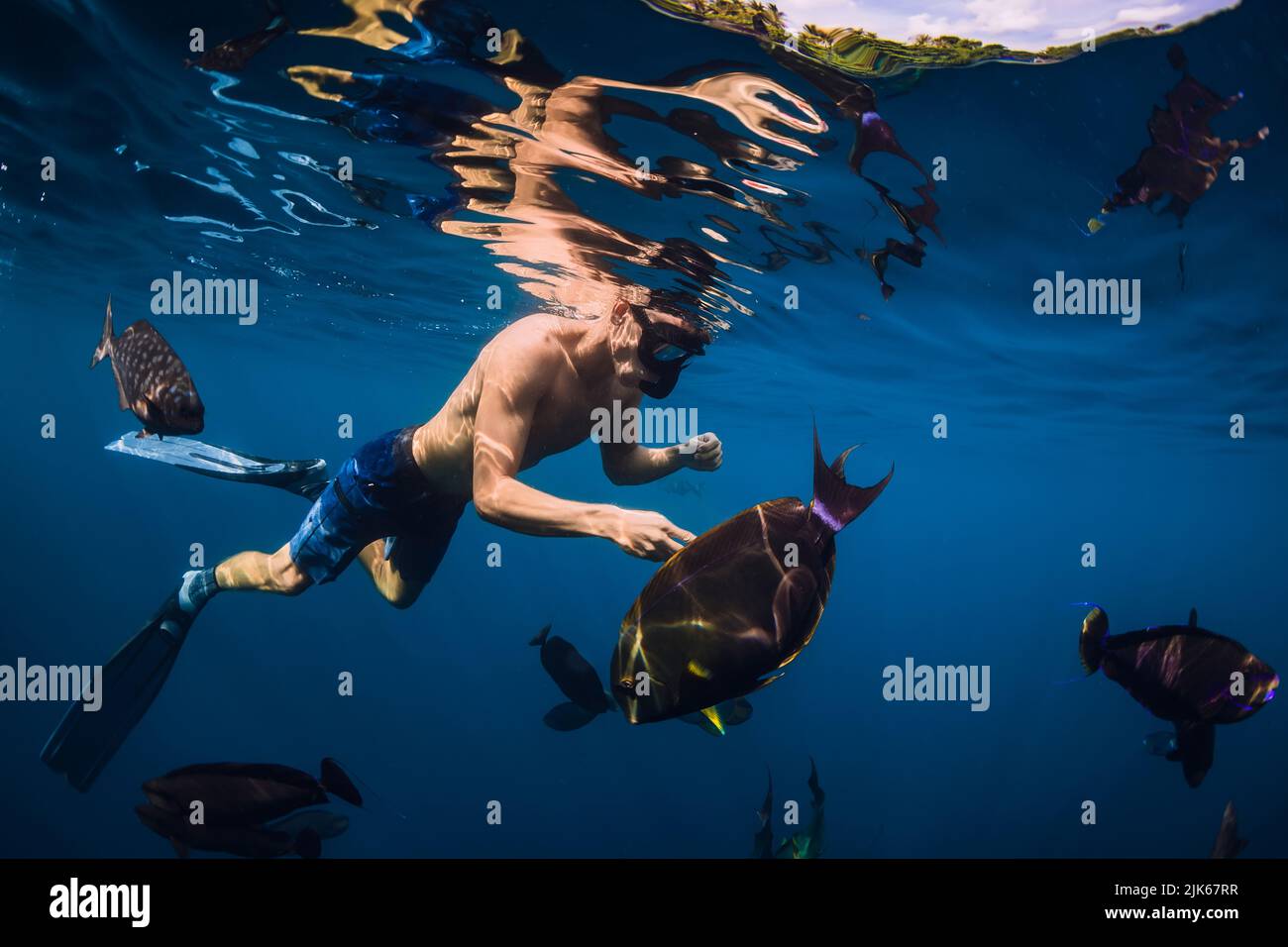 Freediver with fins and mask swim with school of big fish in ocean ...