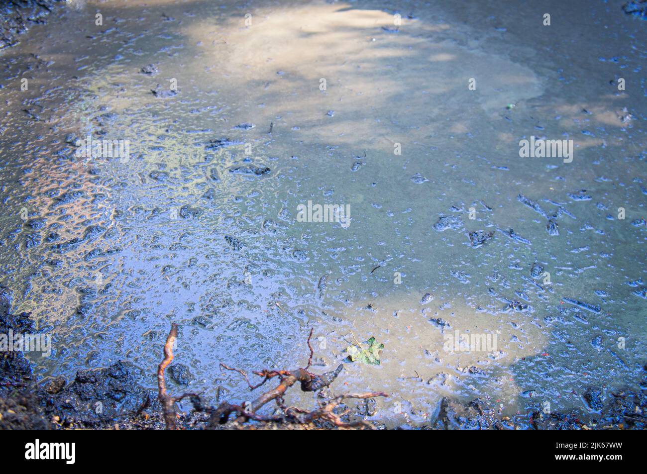 mud, water, wet. (CTK Photo/Libor Sojka Stock Photo - Alamy