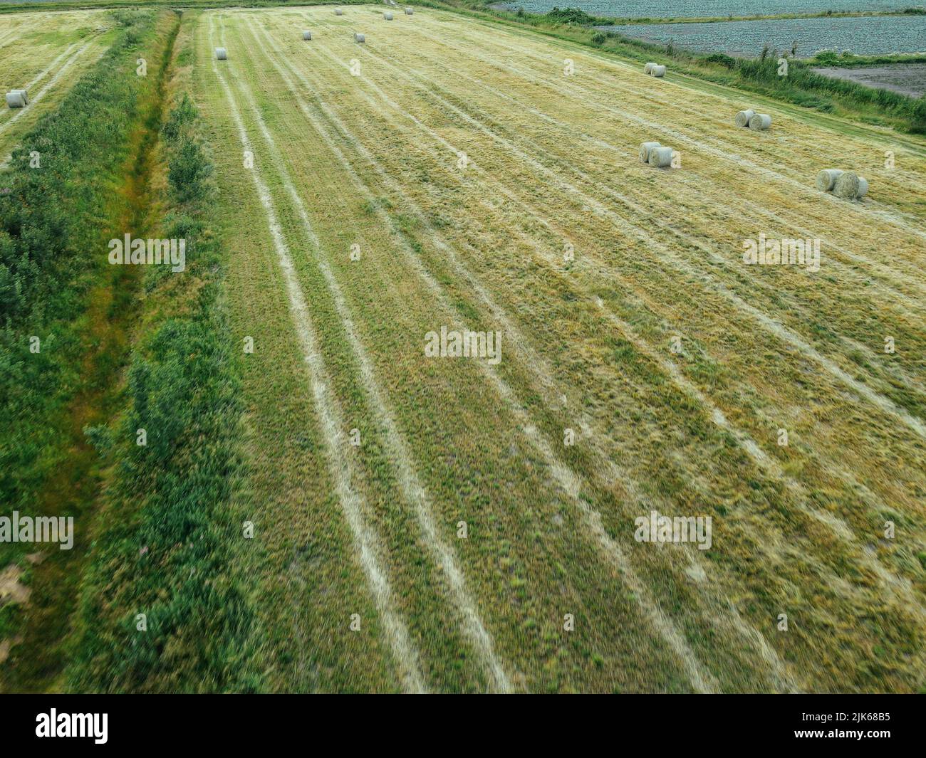 A stack of hay in the farm field. Ripe grain field top view or drone ...