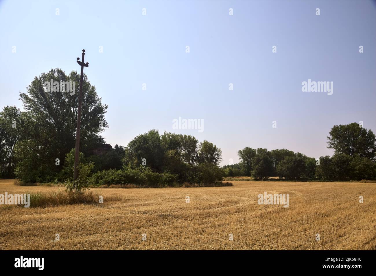 Mowed wheat field with groves and wooden pylons on it on a clear day ...