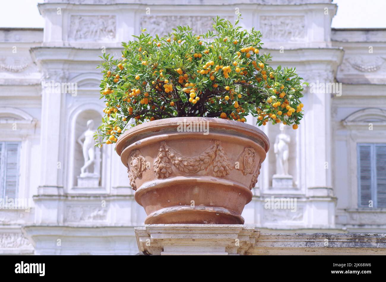 view of a big clay pot whit oranges in a famous roman manor Stock Photo ...