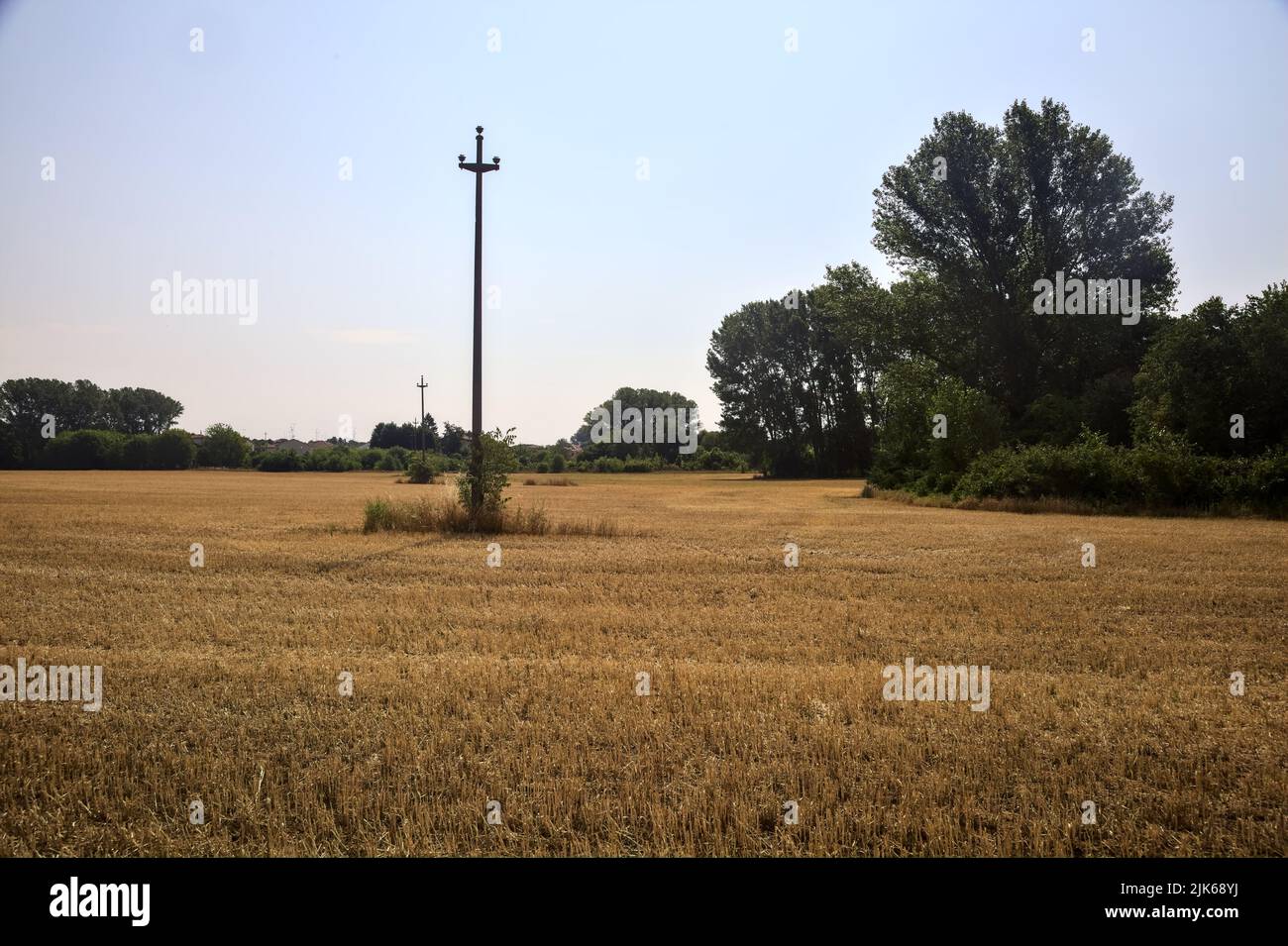 Mowed wheat field with groves and wooden pylons on it on a clear day ...