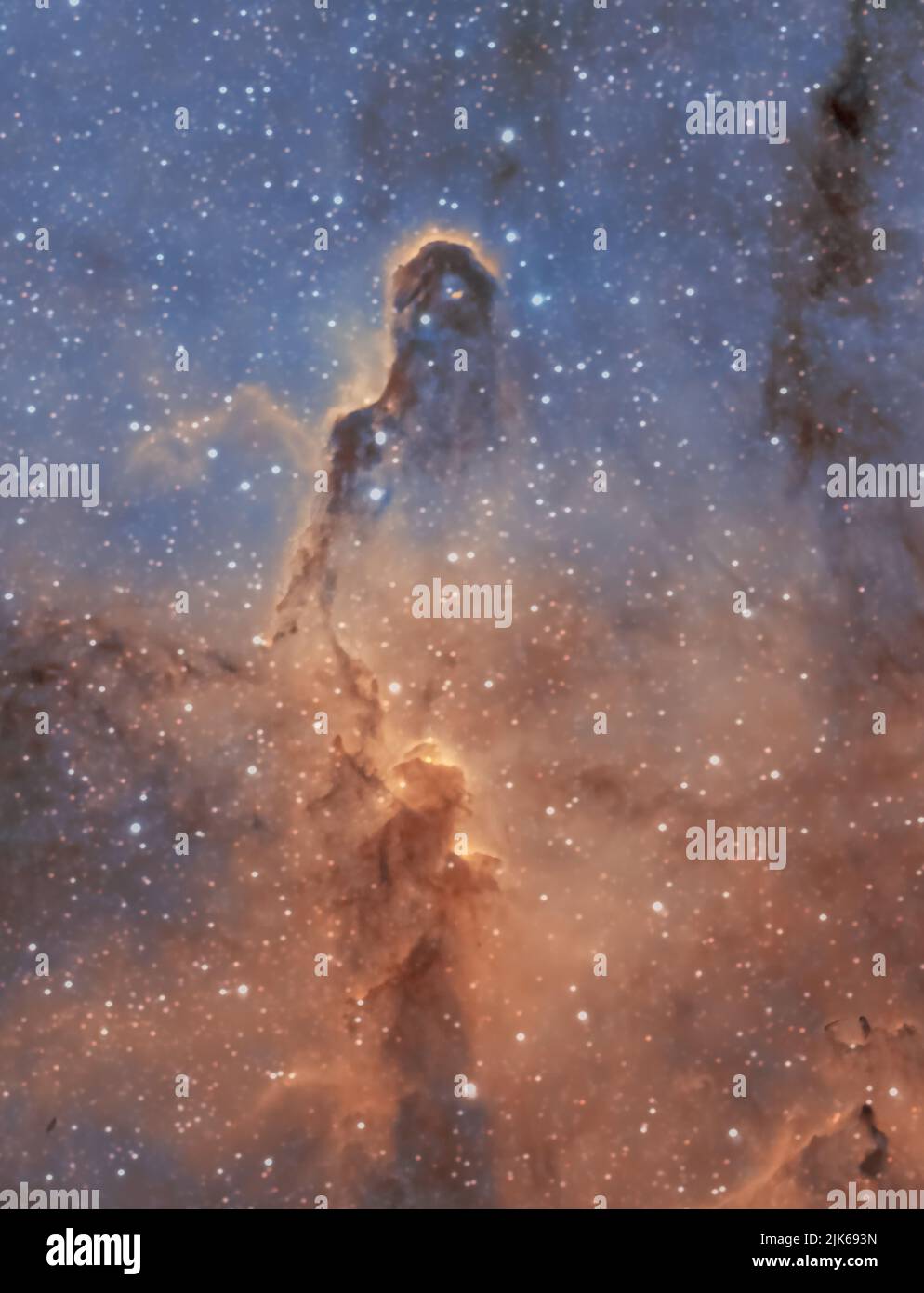 The Elephant's trunk nebula (IC 1396a), within the constellation ...