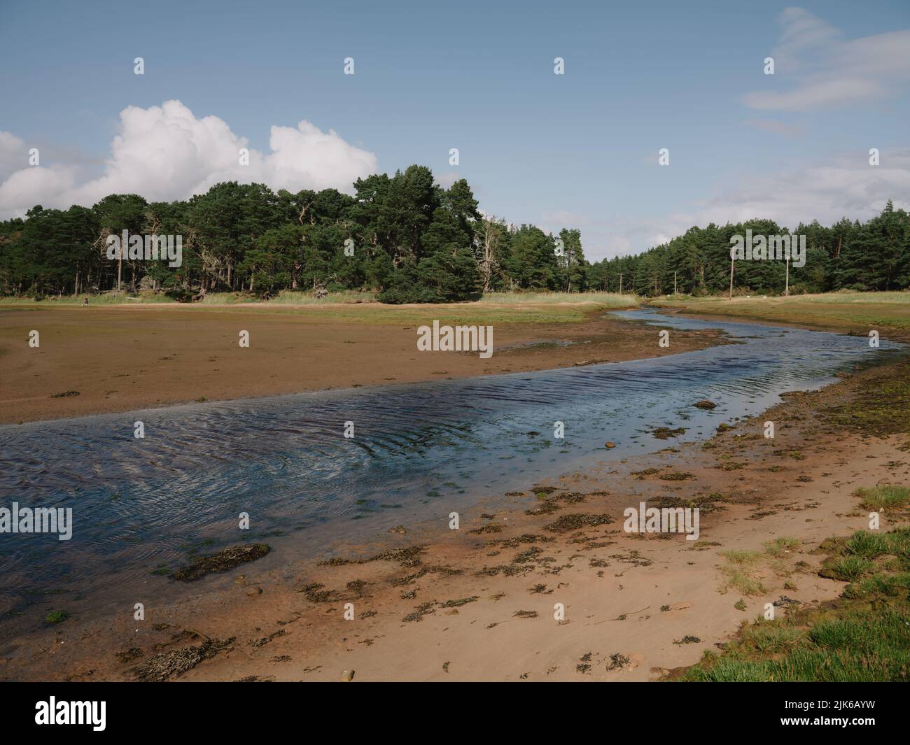 The summer low tide landscape of Loch Fleet National Nature Reserve in ...
