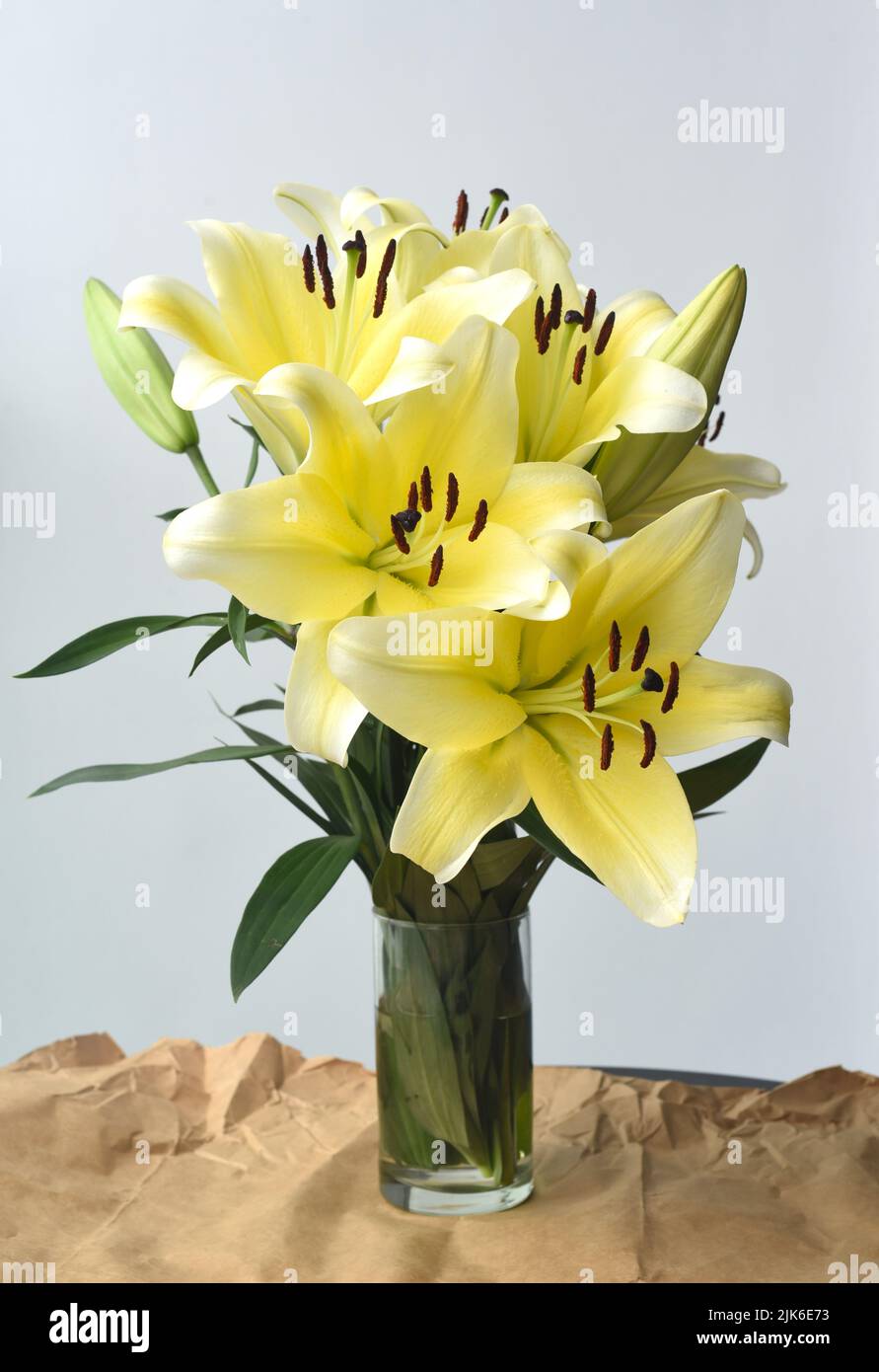 Yellow Lilly bouquet in a case on white background Stock Photo - Alamy