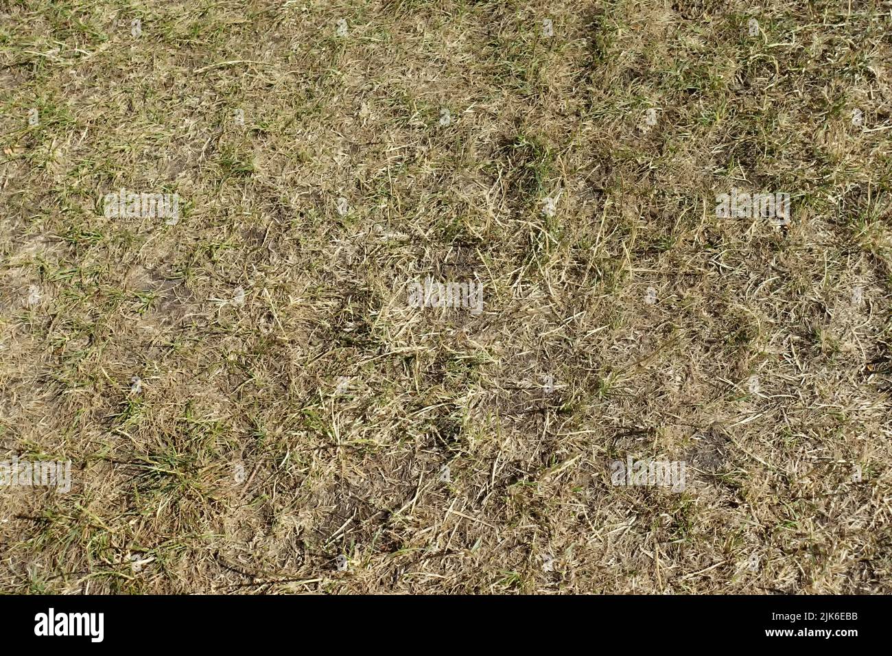 Global heat symbol hi-res stock photography and images - Alamy