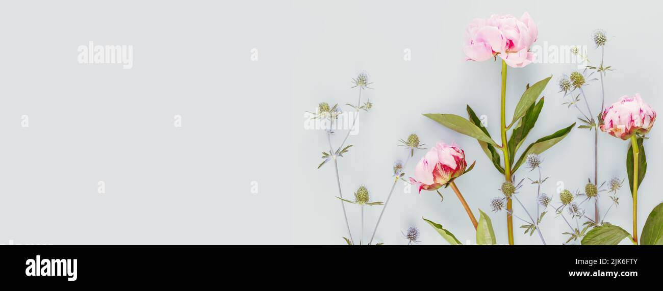 Tender, romantic flower banner with beautiful peonies and wild flowers ...