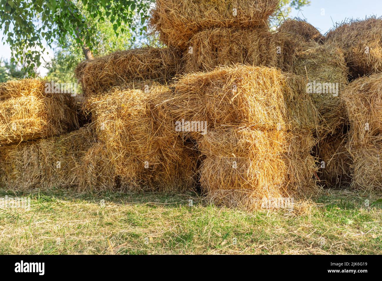 Haystacks, a bale of hay group. Agriculture farm and farming symbol of ...