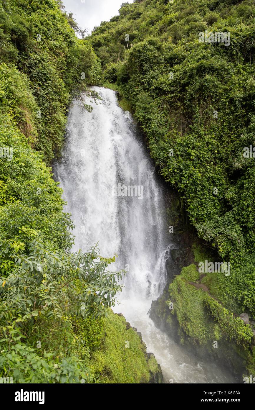 landscape with a waterfall and plants around, beauty of nature and ...