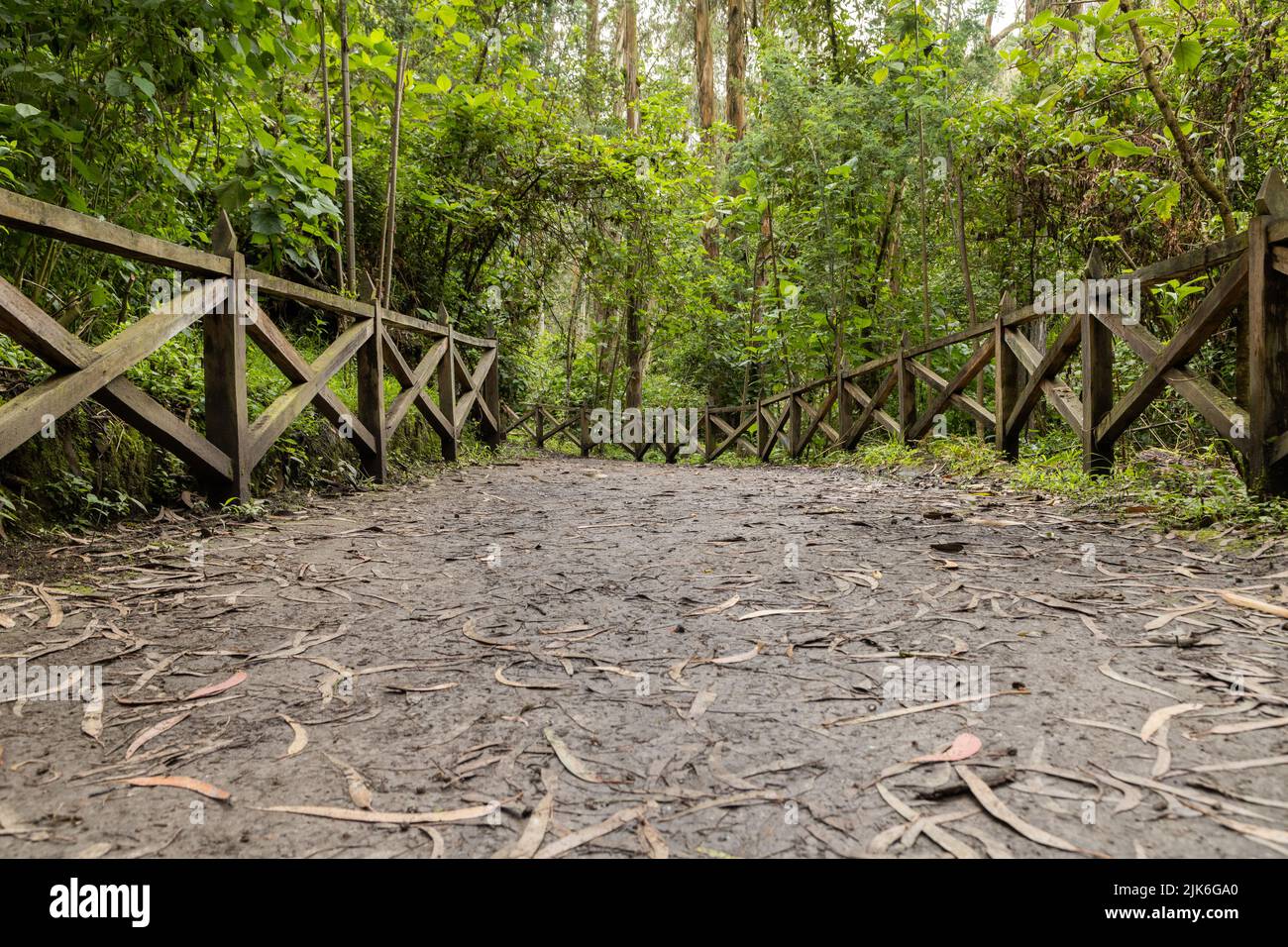 tranquility scene of a park with trees in the day and wooden railings ...