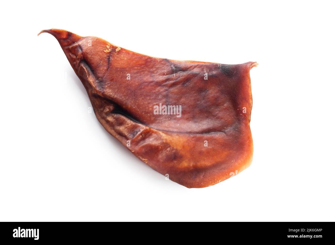 Studio shot of pigs ear, commonly used as a dog treat, cut out against ...