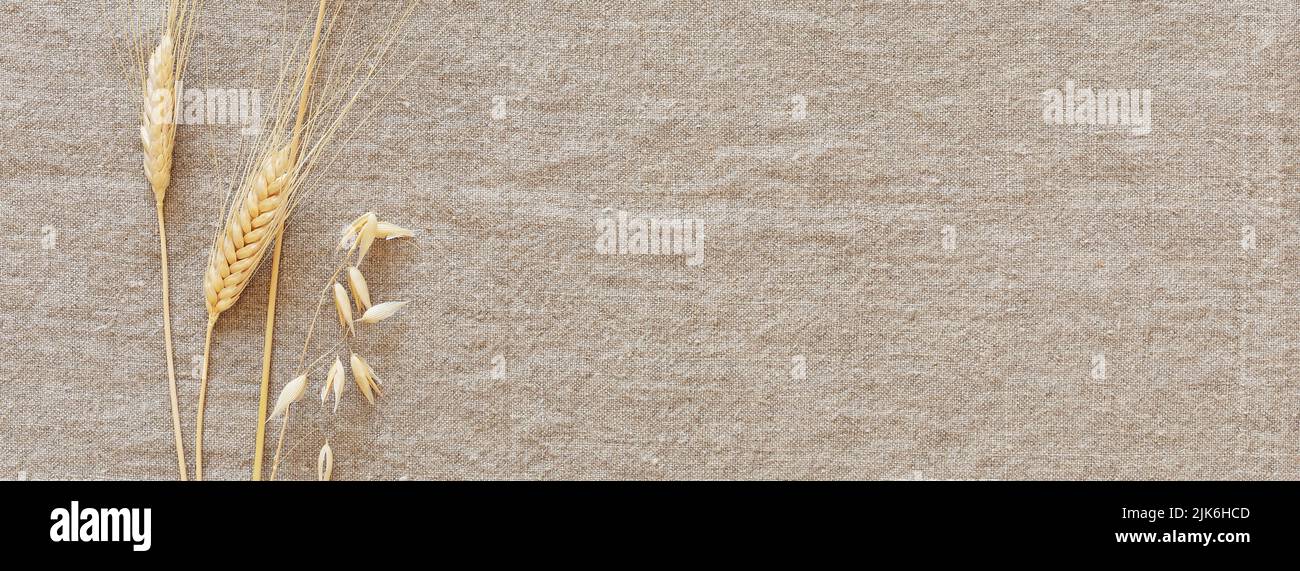 Eco friendly banner with ears of rye and wheat on a linen background ...