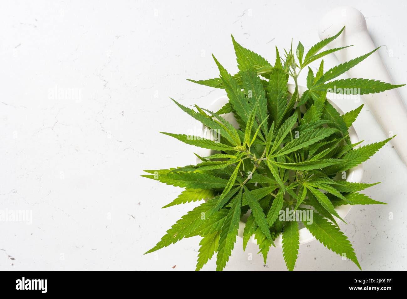 hemp leaves, hemp sprigs in a mortar on white Stock Photo - Alamy