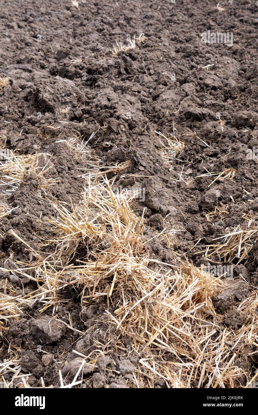 Improve soil structure hi-res stock photography and images - Alamy