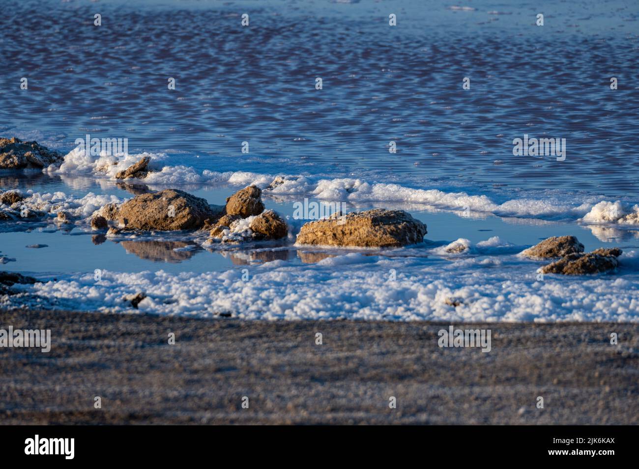 Salt water red sea Eilat Stock Photo - Alamy