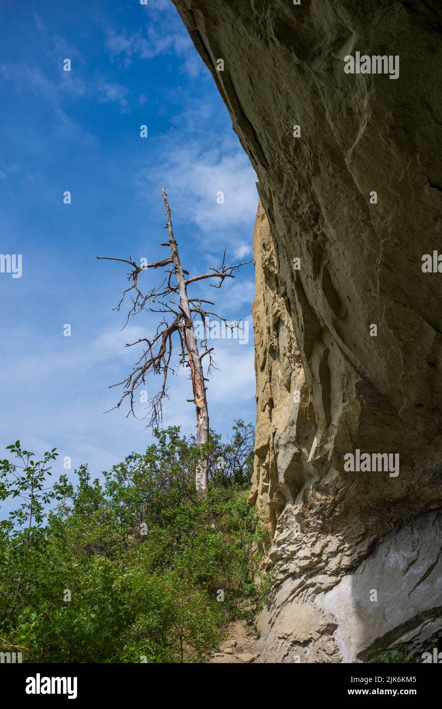 Pictograph Cave, a Montana State Park near Billings, home to three ...
