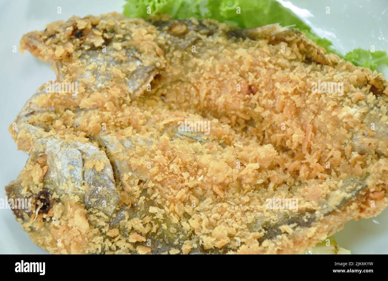 Black banded trevally hi-res stock photography and images - Alamy