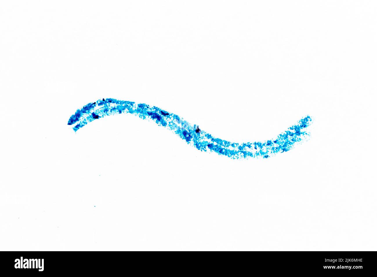 Blue color crayon hand drawing in curved line shape on white paper ...