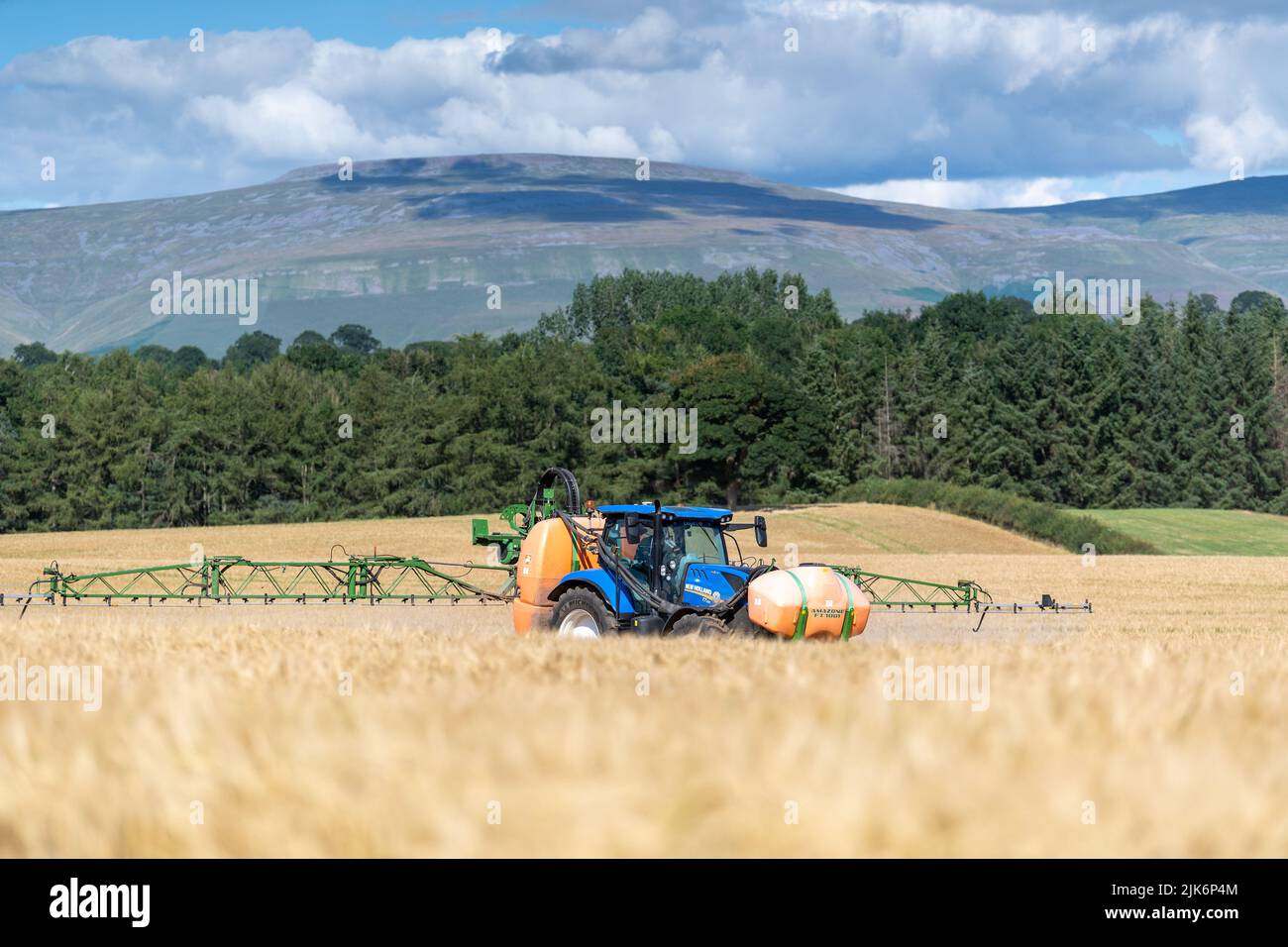 Spraying a field of nearly ripe barley with a glyphosate based ...