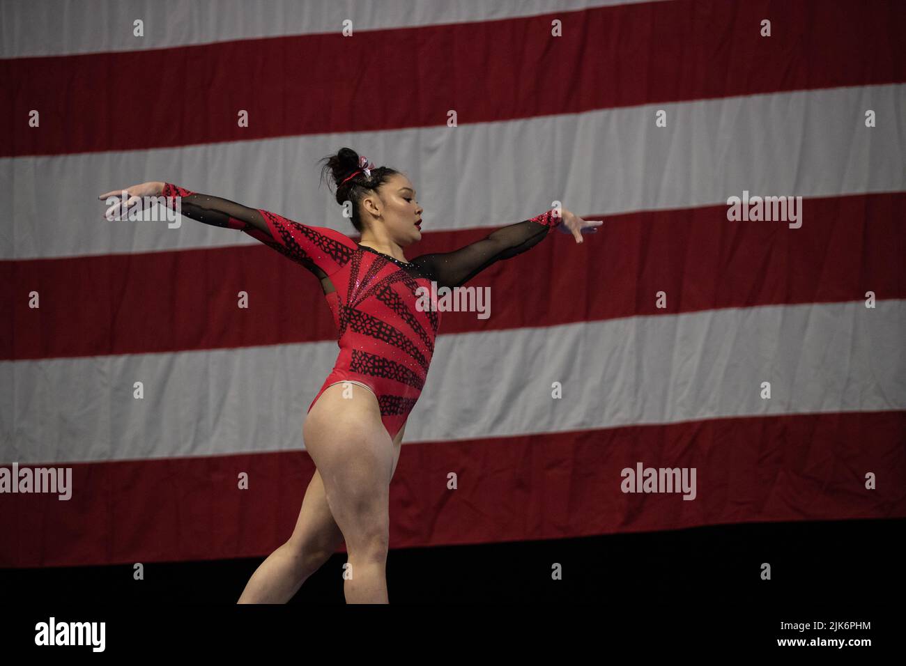 Ciena alipio hi-res stock photography and images - Alamy