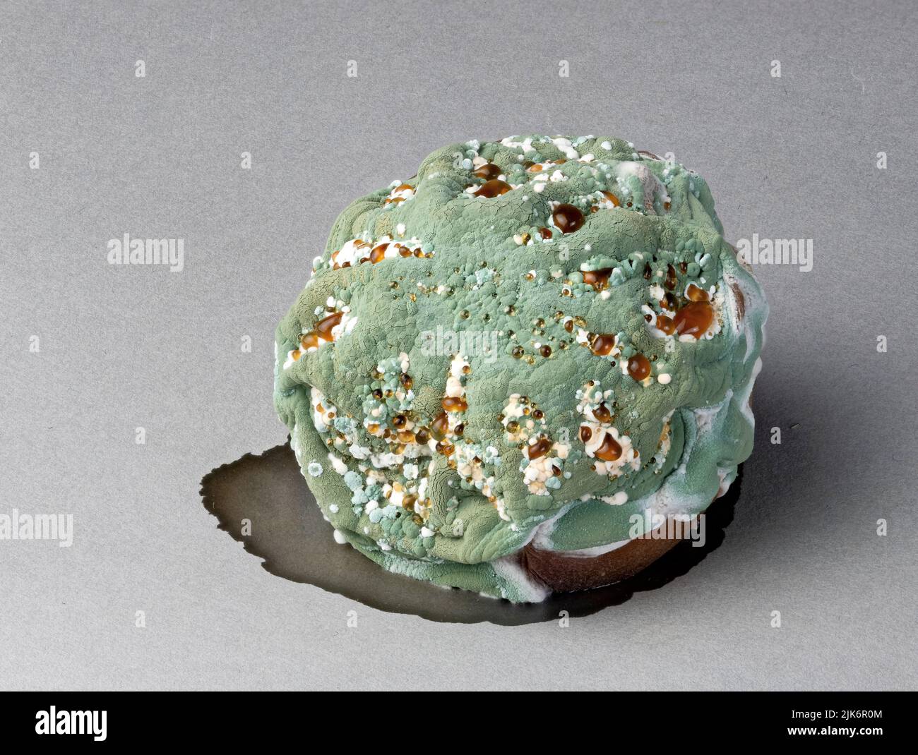 Mold growing on rotting peach. Fifth of a series of six Stock Photo - Alamy