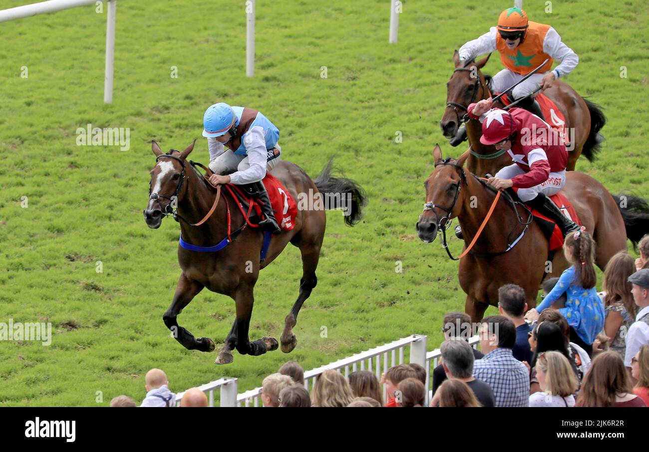 Politesse horse hi-res stock photography and images - Alamy