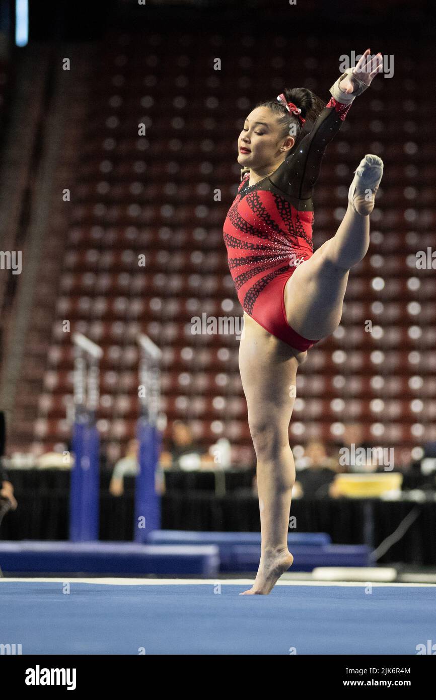 Ciena alipio hi-res stock photography and images - Alamy