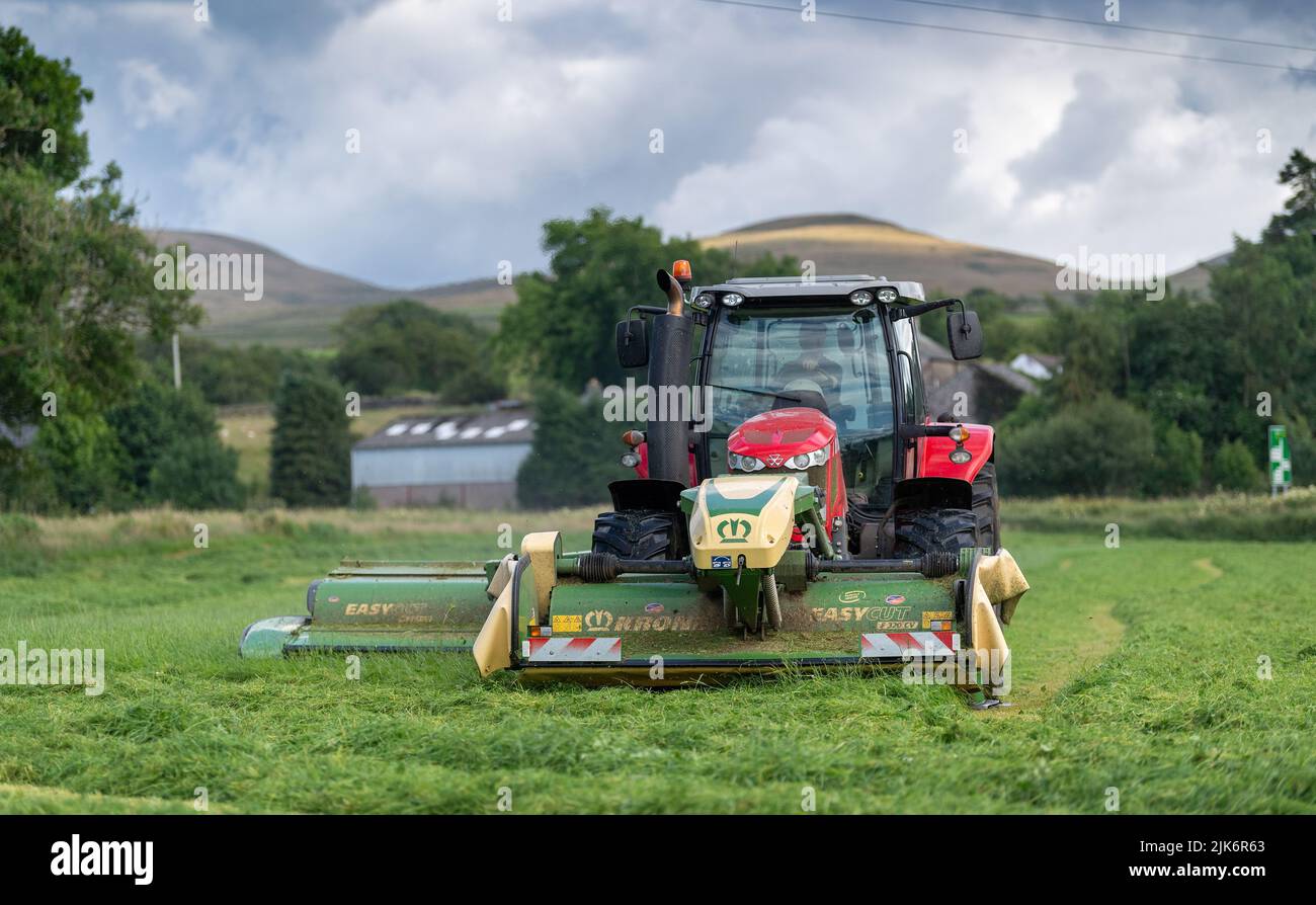 Mowing a meadow for silage with a Massey Ferguson 7718 tractor and a ...