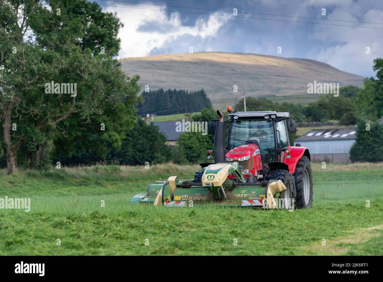 Mowing a meadow for silage with a Massey Ferguson 7718 tractor and a ...