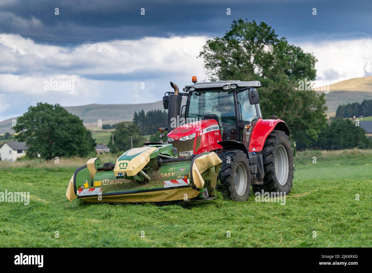 Mowing a meadow for silage with a Massey Ferguson 7718 tractor and a ...