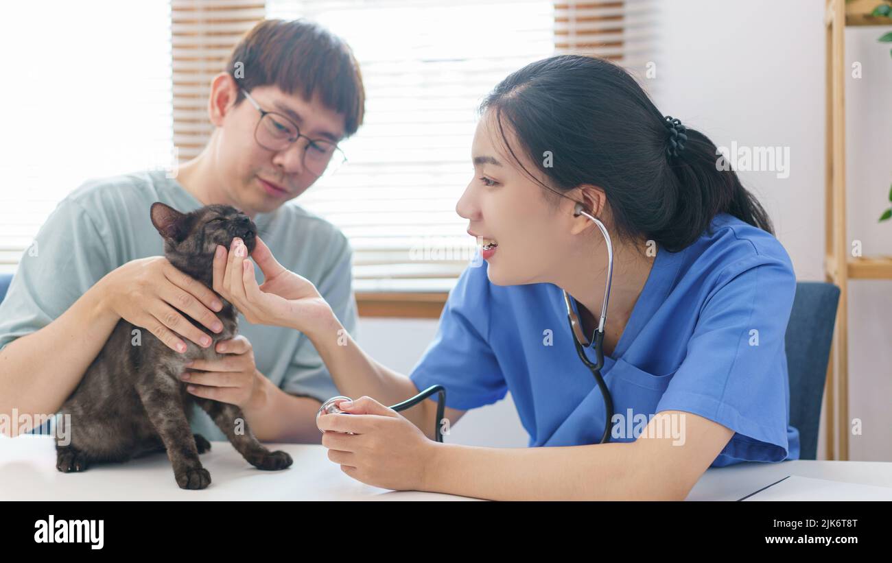Pet care concept, Female veterinary use stethoscope to check health of ...